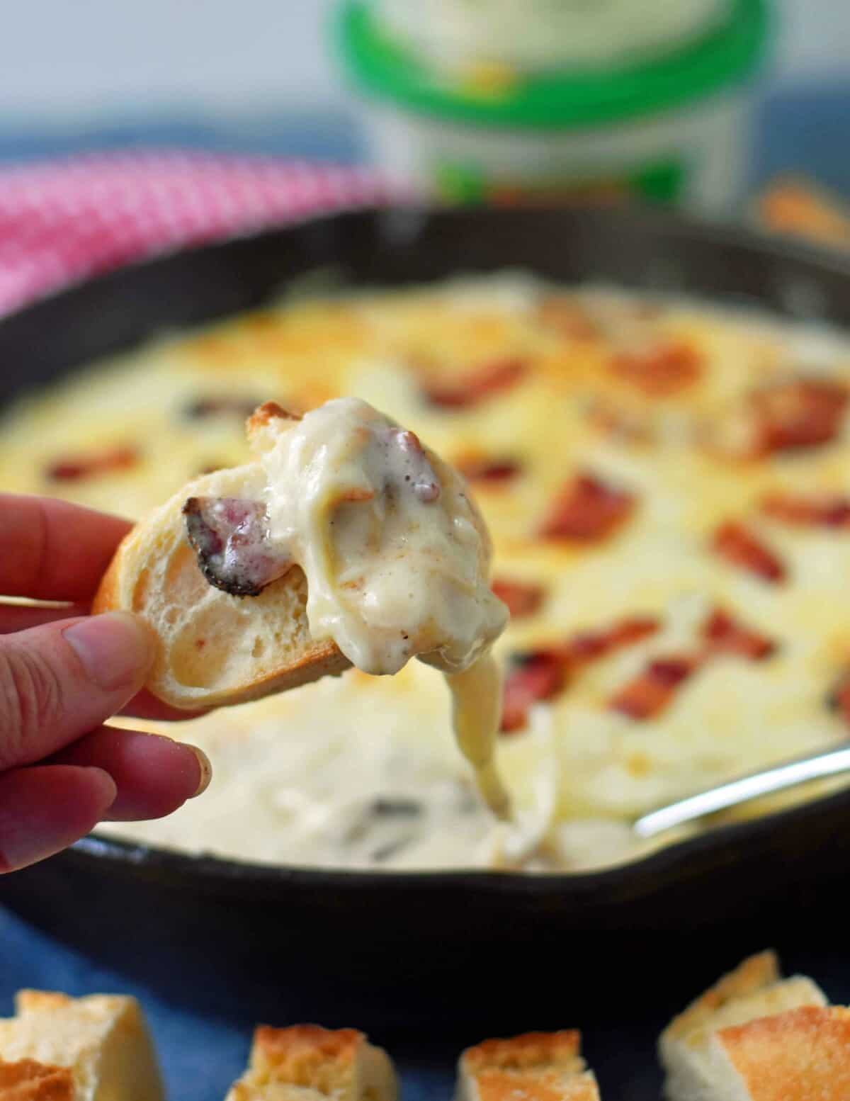 Chicken Bacon Alfredo Dip – Modern Honey