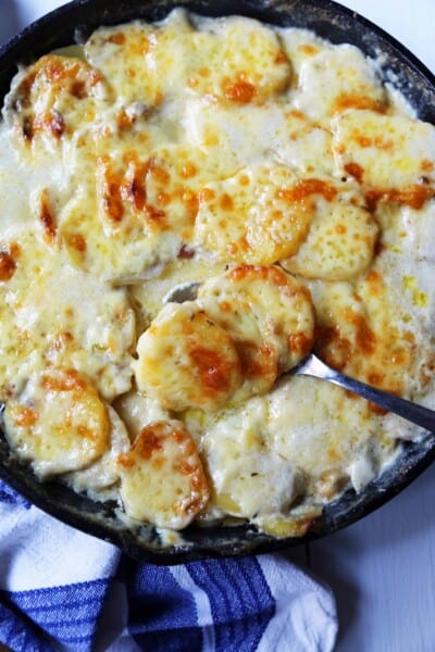 Cheesy Potatoes Au Gratin – Modern Honey