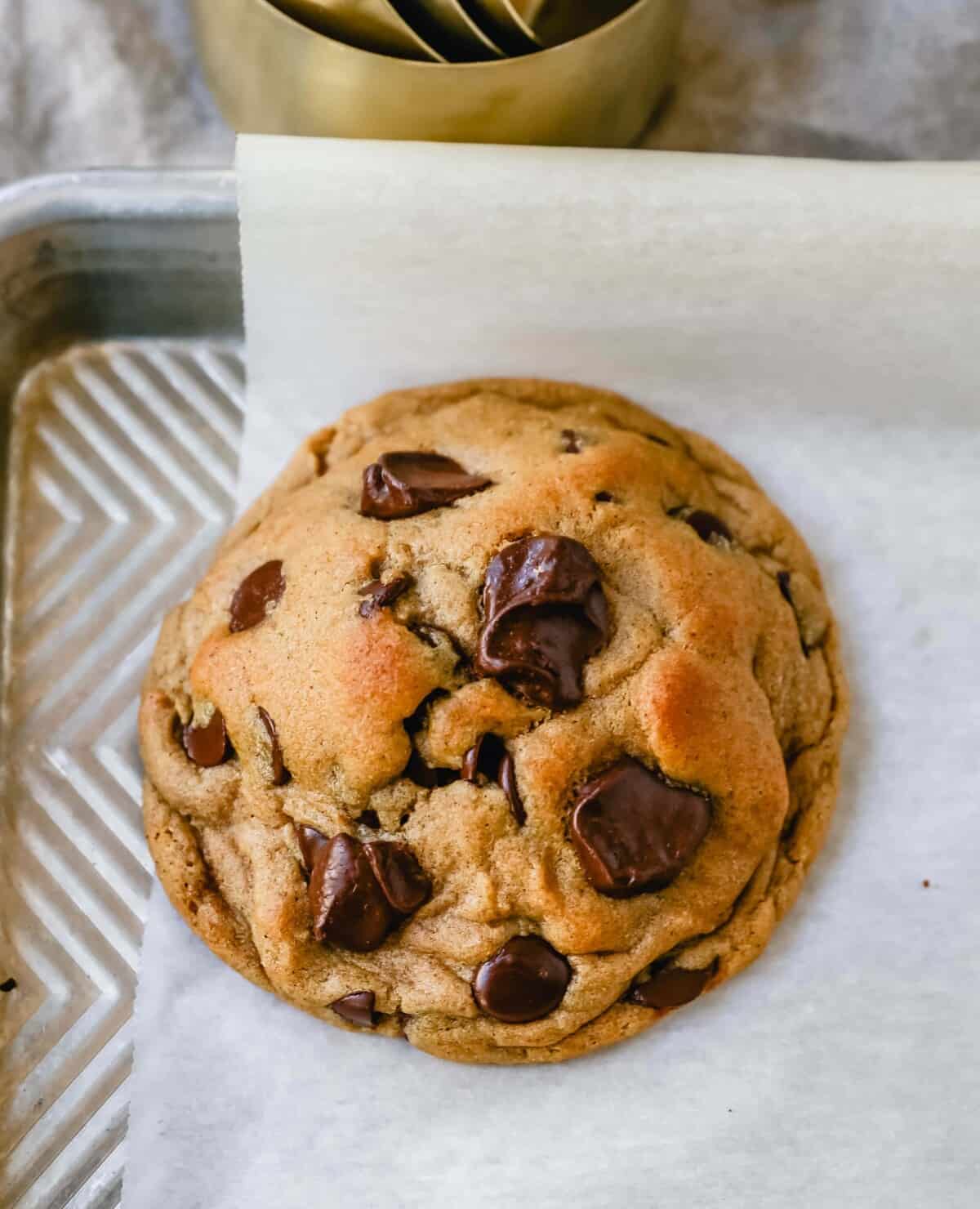 Fall Chocolate Chip Spiced Cookie (Levain Bakery Fall Cookie Knock-Off ...
