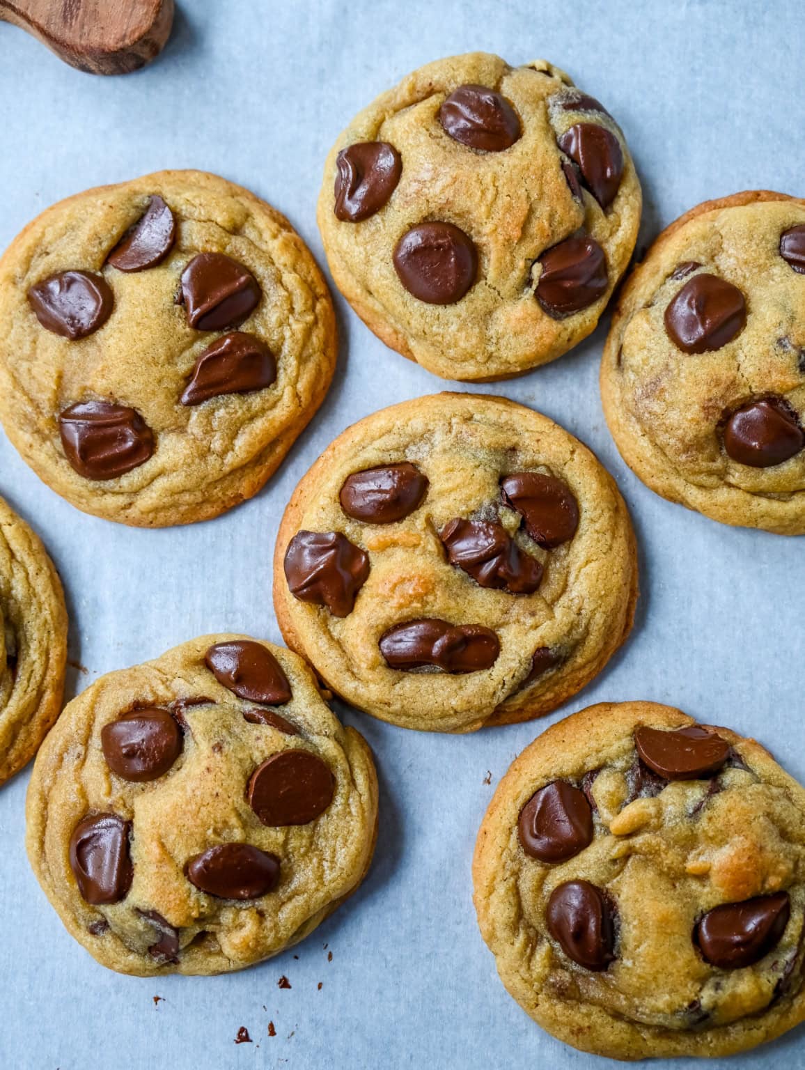 Generic vs Brand Ingredients in Chocolate Chip Cookies – Modern Honey