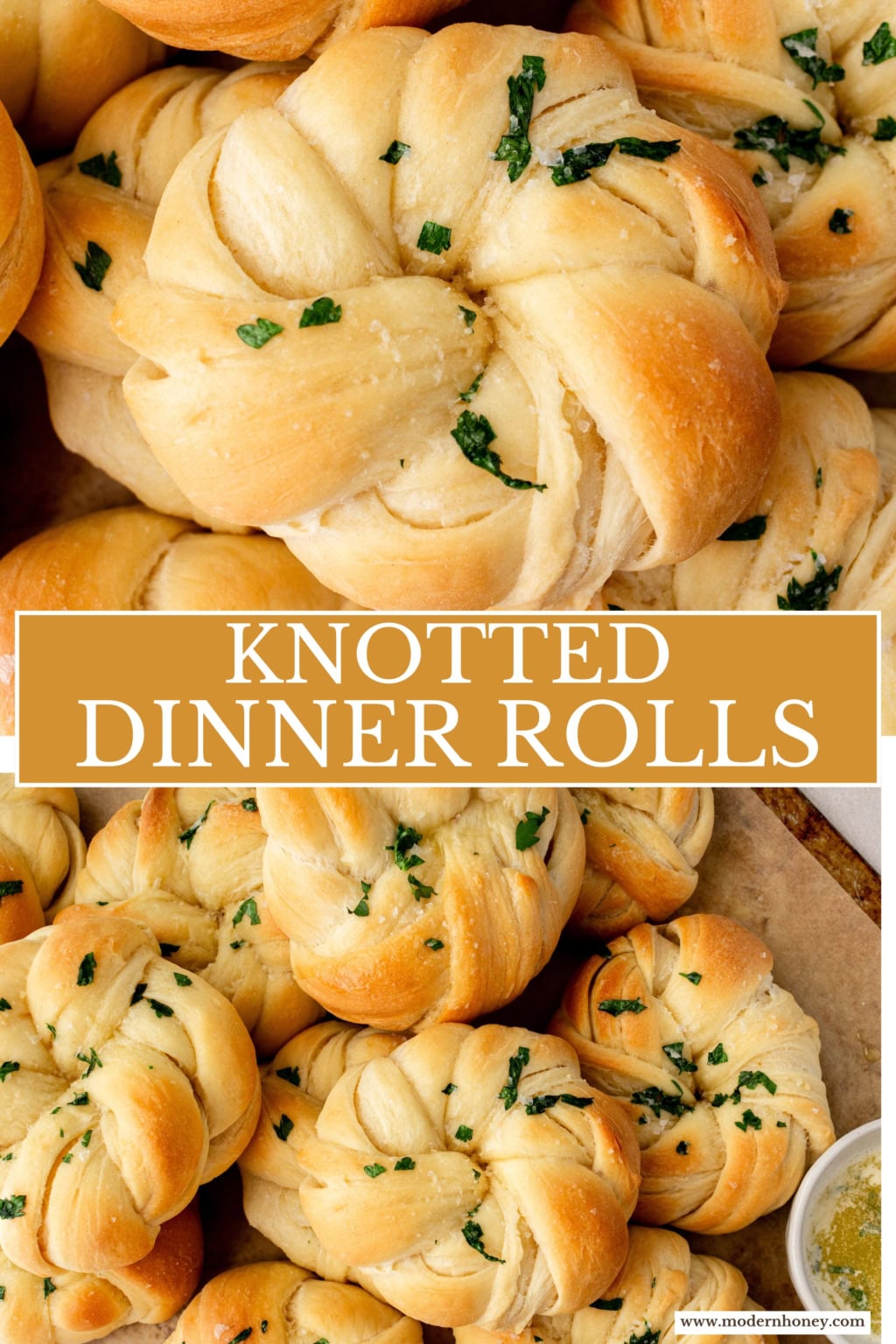 Knotted Rolls – Modern Honey
